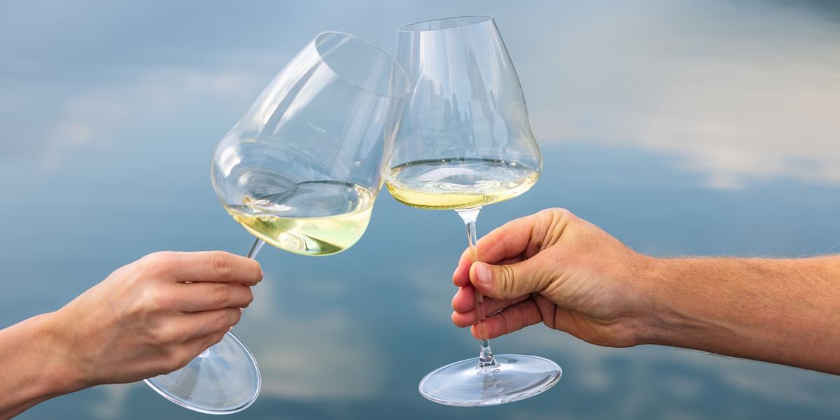 The Importance of the Senses in a Wine Tasting| RIEDEL United States