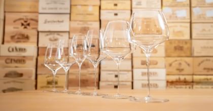 RIEDEL Manufaktur Vitis Exquisit Decanter