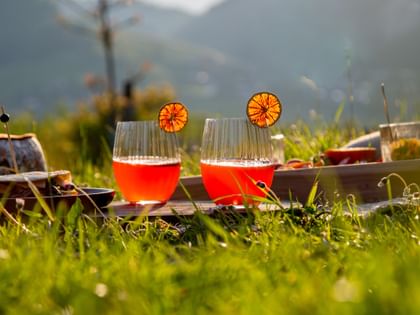 RIEDEL Glassware for PicnicRIEDEL Glassware for Summer Picnics | RIEDEL