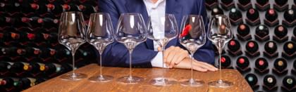 RIEDEL Manufaktur Vitis Exquisit Decanter